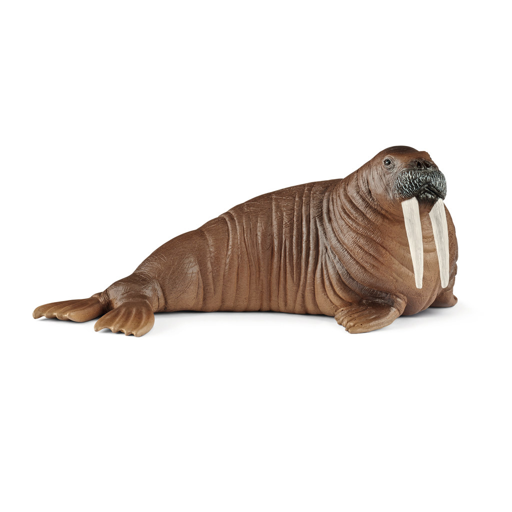 Schleich 14803 Walrus - Toys Hobbies