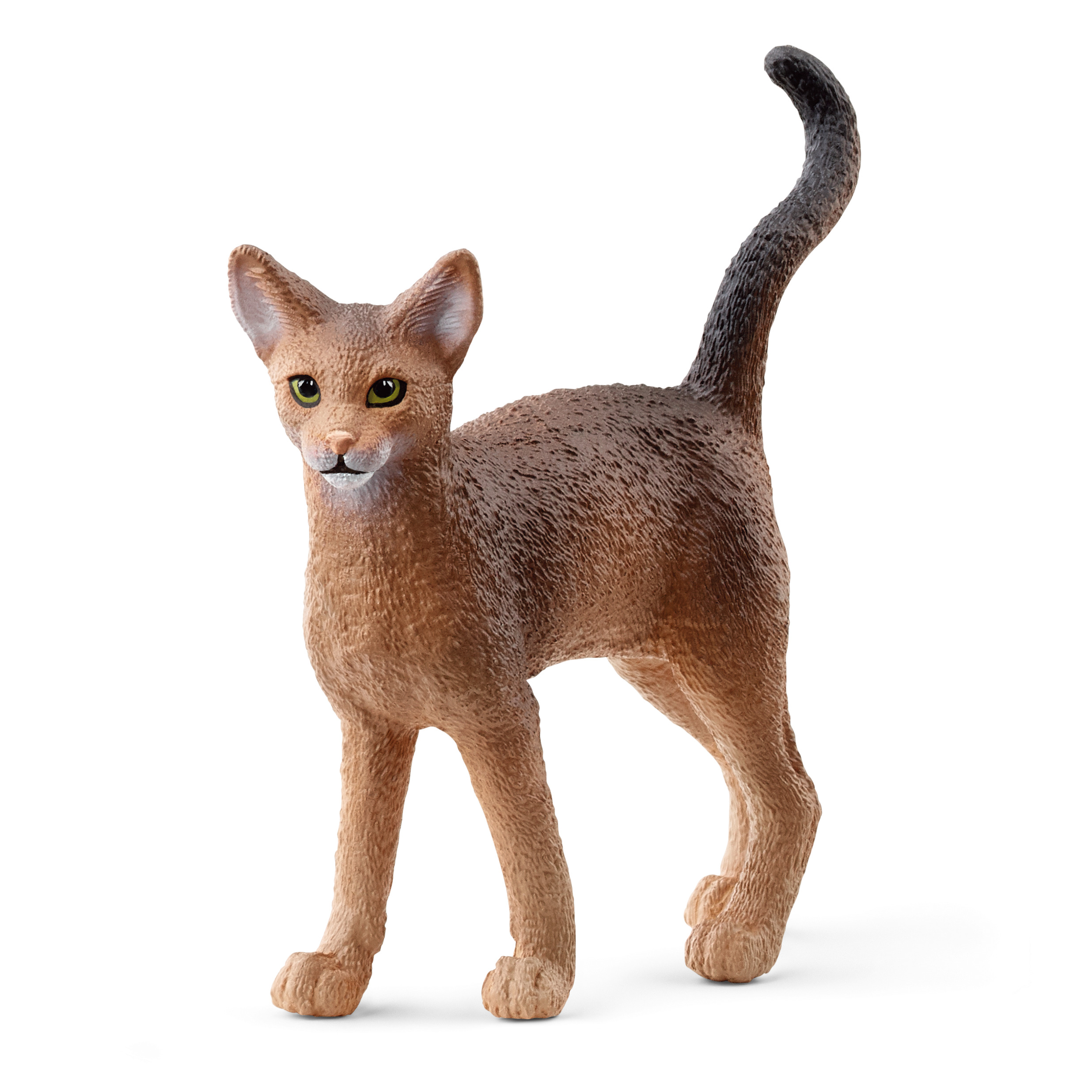 Schleich Abyssinian Cat 13964 - Toys Hobbies