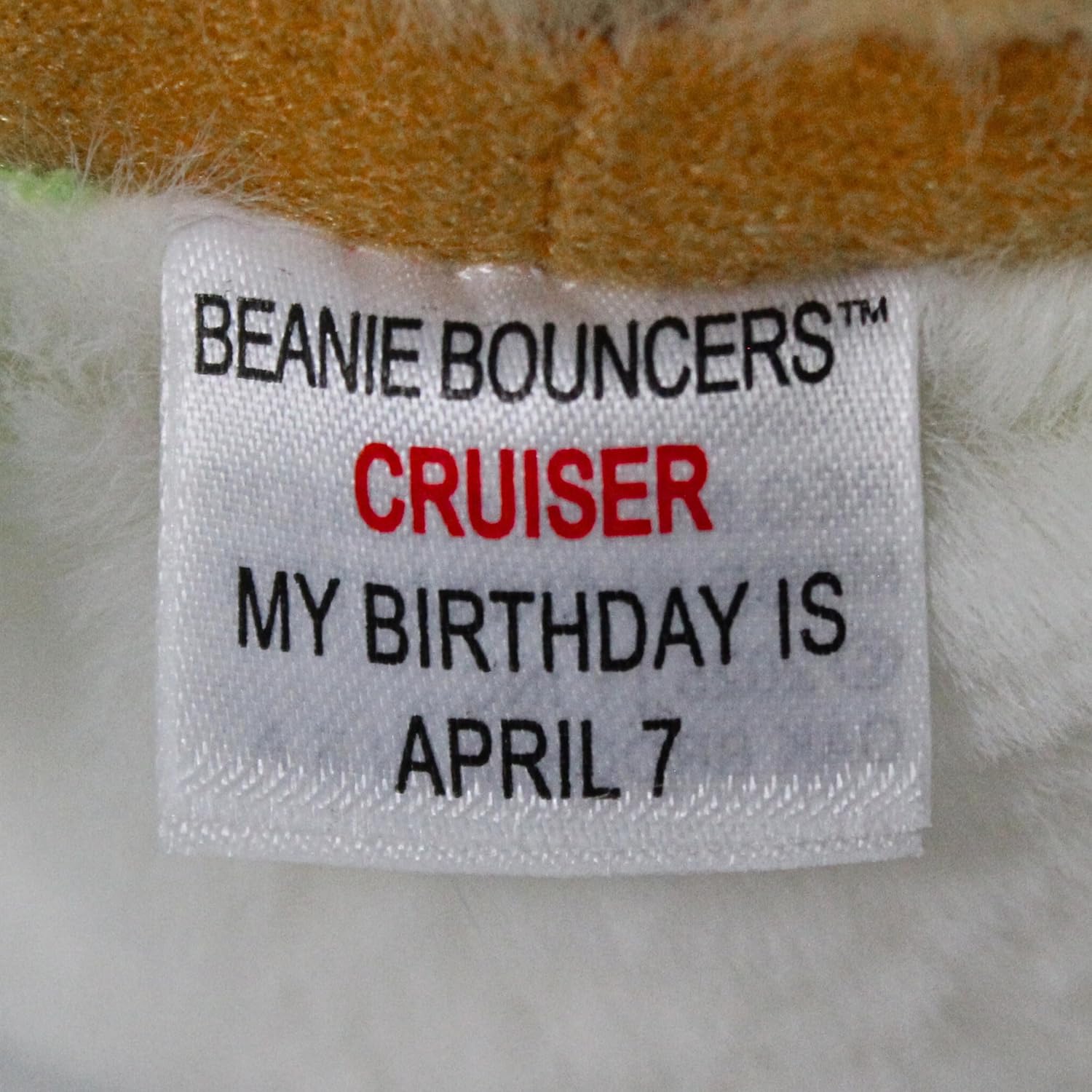Ty Beanie Bouncers - Cruiser the Turtle - Toys Hobbies
